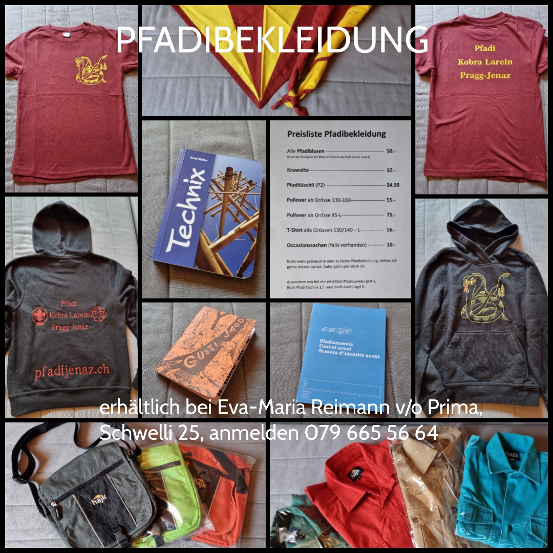 Home [www.pfadijenaz.ch]